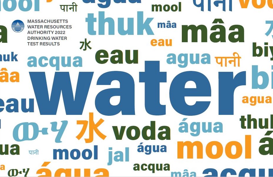 Exploring Massachusetts Government